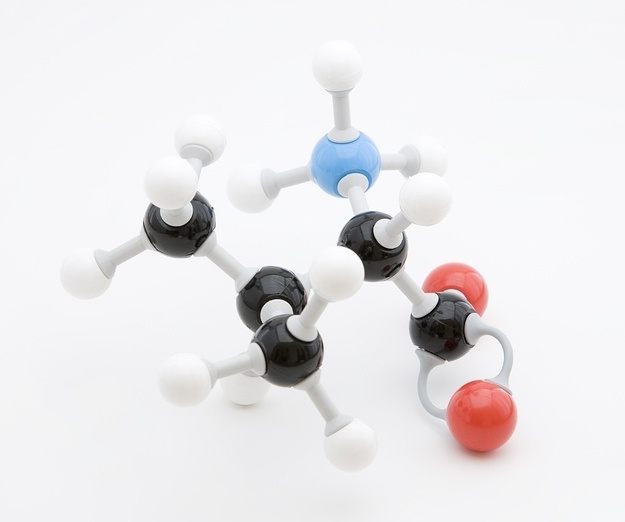 5 Things to Know about BCAAs